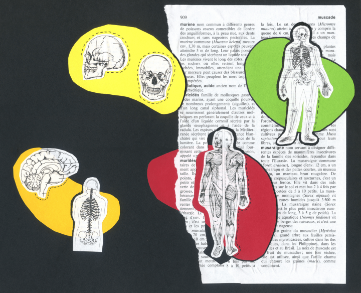 The science behind self-injury: what happens in the body – Exploring ...